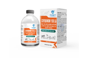 Thuốc Thú Y Trị Viêm Phổi | CEFQUINOM 150 LA 100ML | CHÂU THÀNH