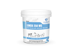 Thuốc Thú Y Viêm Ruột Tiêu Chảy | LINCO 250 WS 1KG | CHÂU THÀNH
