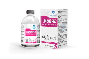Thuốc Kháng Sinh Cho Thú Y | LINCOSPEC 100ML | CHÂU THÀNH